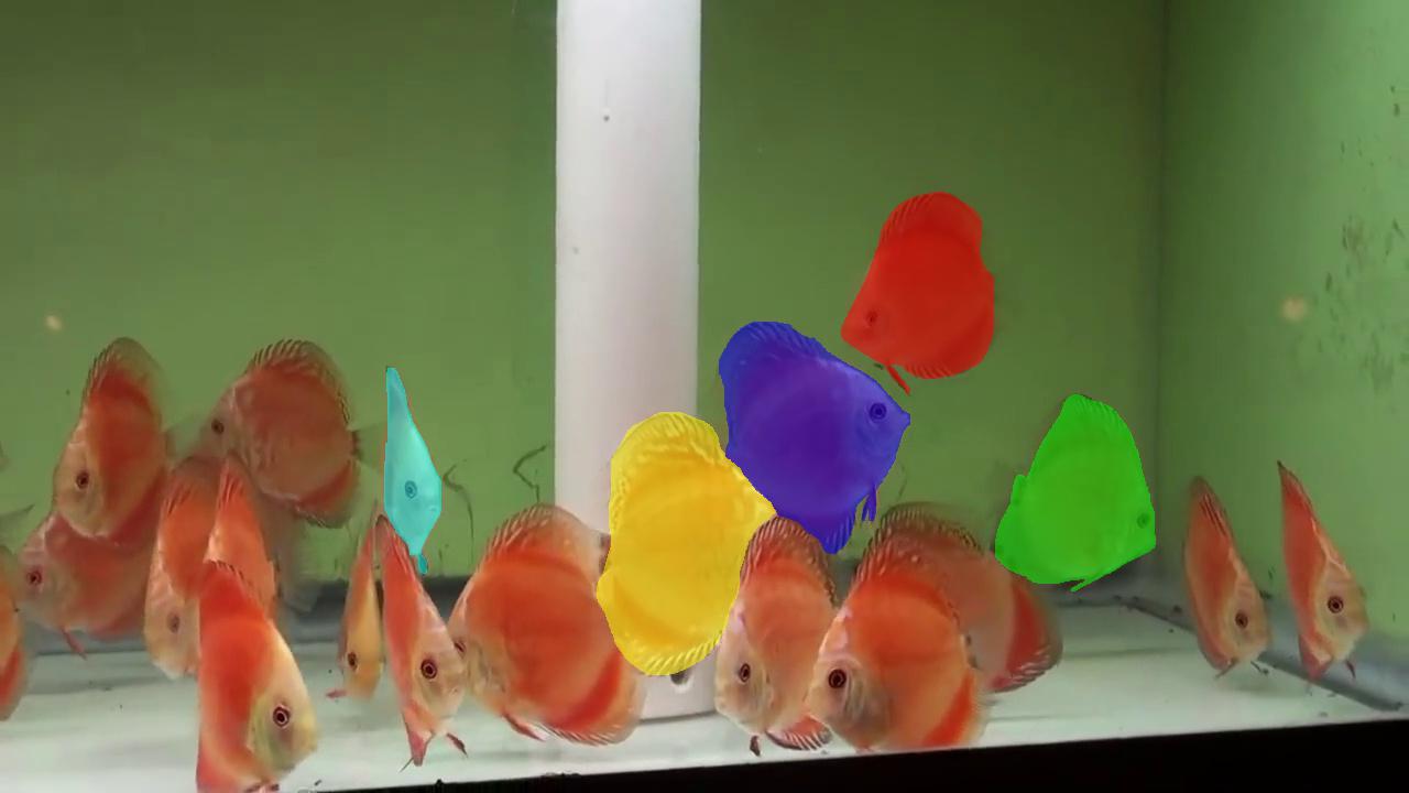 The First Large-scale Video Object Segmentation Challenge