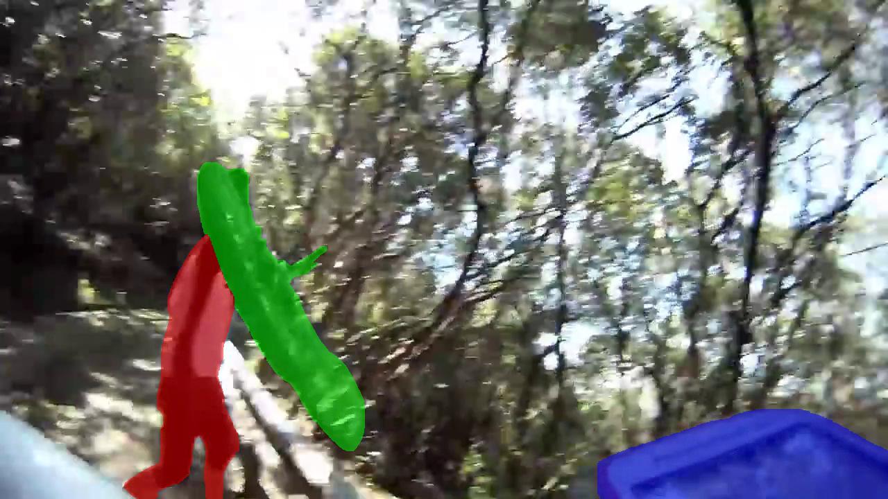 The First Large-scale Video Object Segmentation Challenge