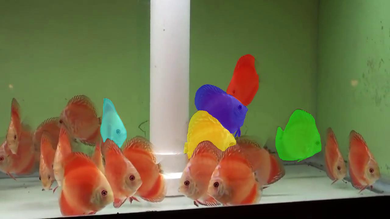 The First Large-scale Video Object Segmentation Challenge